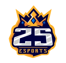 25 E-Sports - Fortnite Org Roster - Fortnite Tracker